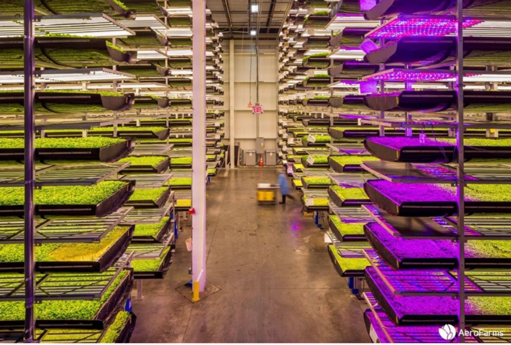 Vertical Farming Opens Doors To Fruit Growing - CEAg World