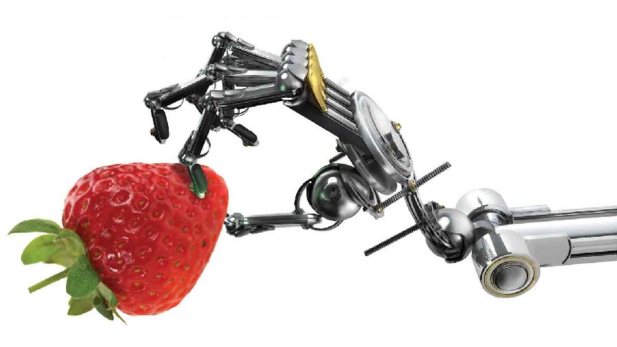 Robotic Arms Reach for Power at the World's Largest Vertical Strawberry ...