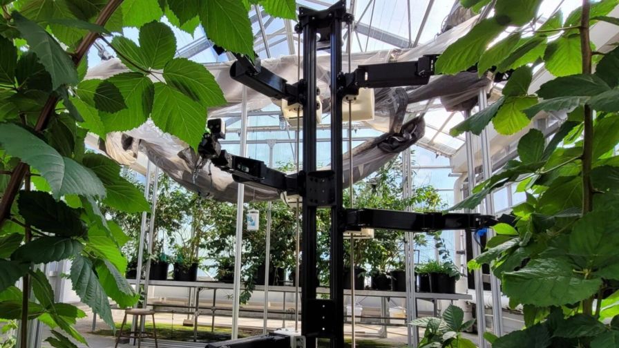 Say Hi to Stickbug: A New Six-Armed Pollinating Robot for Greenhouse ...
