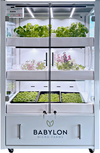 Babylon Micro-Farms: Bringing Hydroponic Farming to Communities and ...