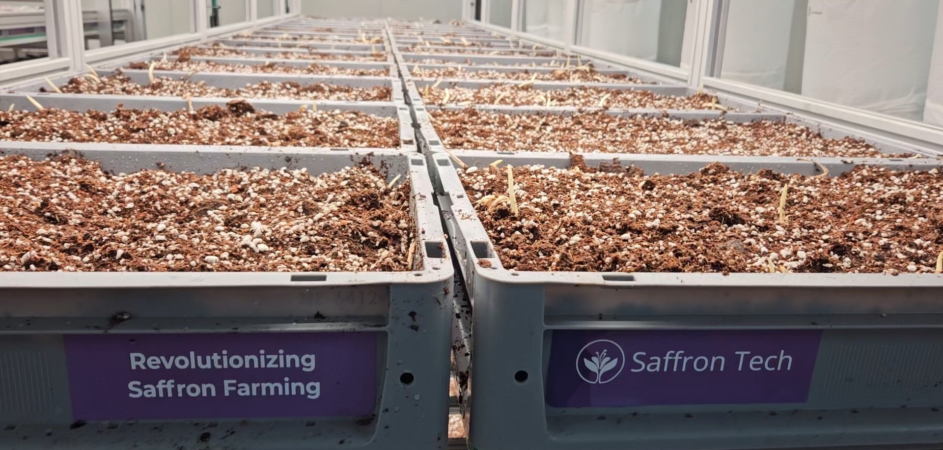 Now Up and Running: Saffron Tech’s Pilot Facility in Israel - CEAg World