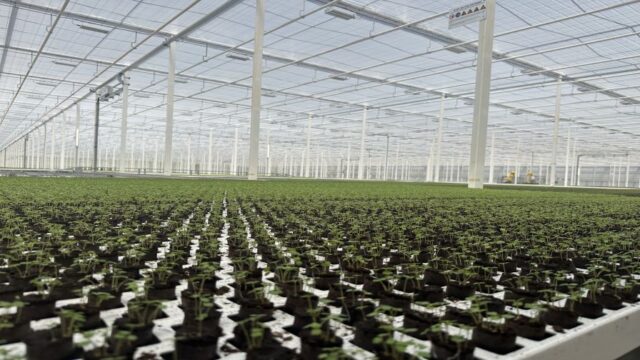 Scaling a Greenhouse Operation with Agile Lean and Systems Thinking ...