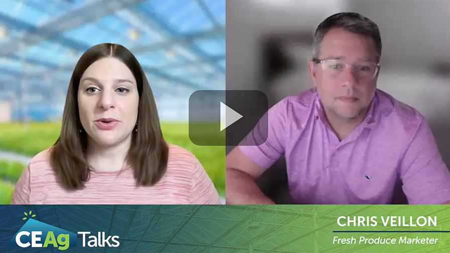 CEAg Talks Episode 18: The Basics of a Marketing Plan for CEA Produce ...