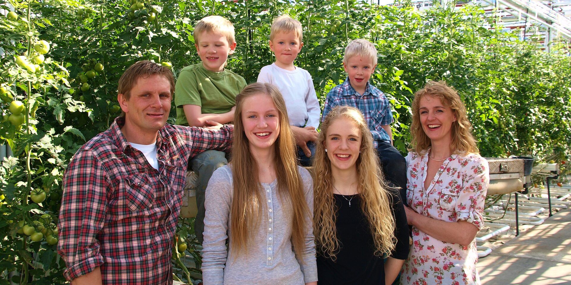 Get to Know Fridheimar: The Geothermal Tomato Farm in Iceland - CEAg World