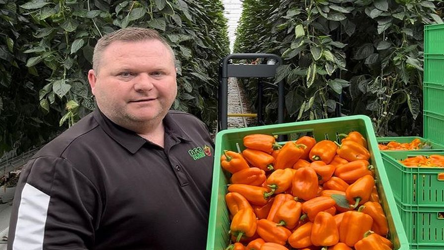 How Autonomous Growing Simplifies Operations at JPI Farms - CEAg World