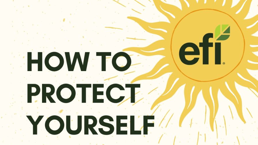 USDA Controlled Environment Crop Insurance Program Underway for 2024 ...