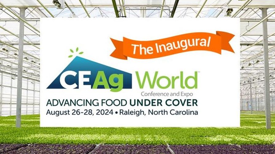 CEAg World is Leading the Way in Covered Produce Production - CEAg World