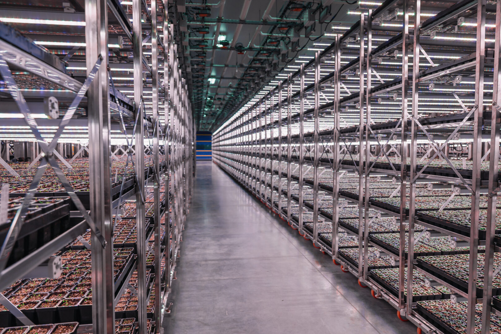 Soli Organic Makes the Case for Soil-Based CEA - CEAg World