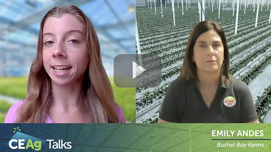 CEAg Talks Episode 24: The Right Way to Diversify Your Crops in CEA ...