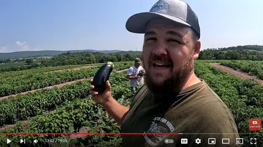 5 ‘Farming-fluencers’ You Need To Be Following - CEAg World