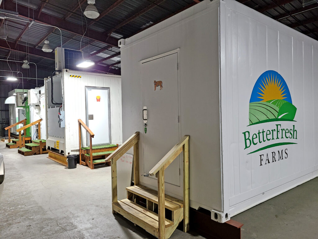 7 Seed Sourcing Tips from Better Fresh Farms’ Grant Anderson - CEAg World