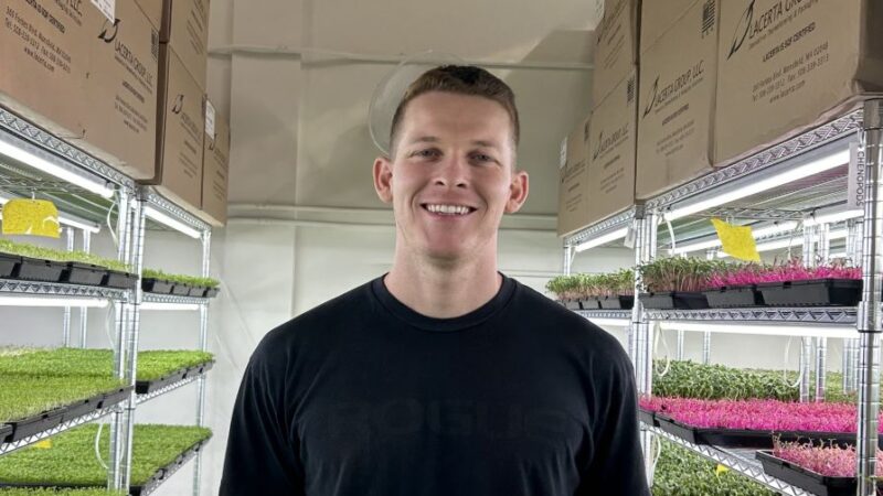 Get to Know Piedmont Microgreens - CEAg World
