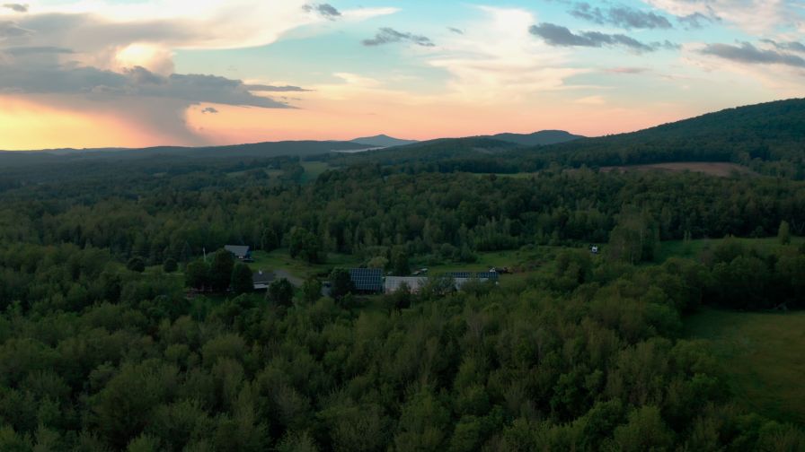 Vermont Greenhouse Transformed with Customized Lighting Solution - CEAg ...