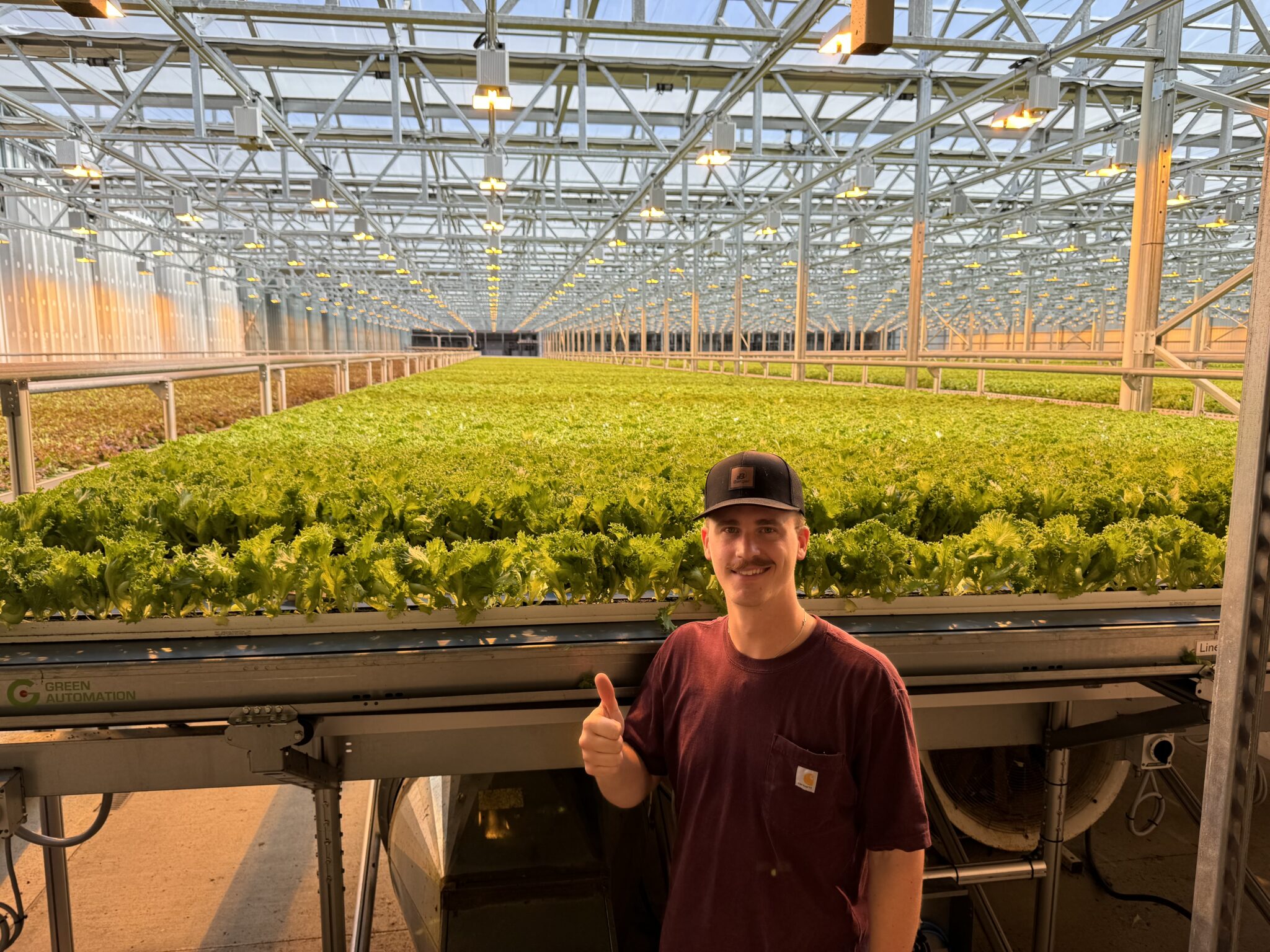 Four Different Approaches to Growing Greens in CEA - CEAg World