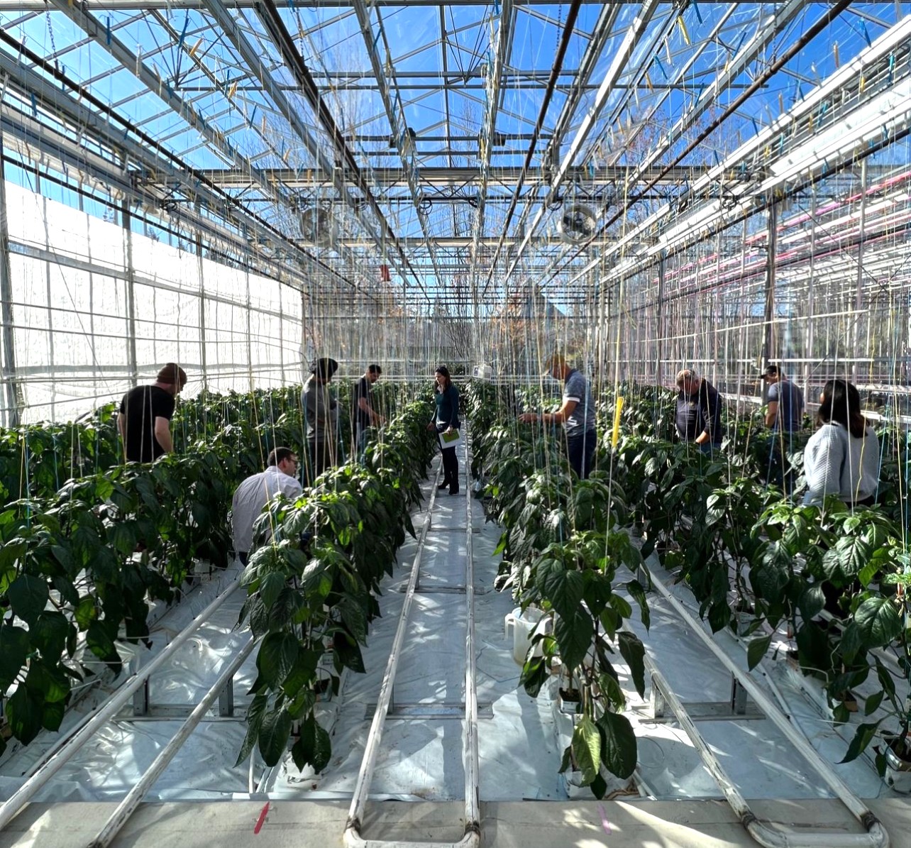 Signify and the University of British Columbia Continue LED Lighting ...