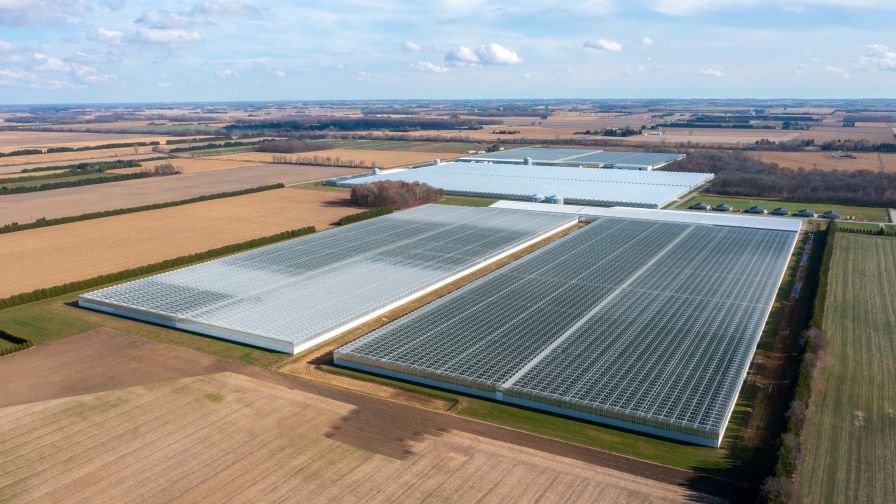Cox Farms Becomes North America’s Largest Greenhouse Operator - CEAg World