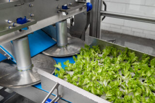 The Future of Controlled Environment Agriculture: A Growing Industry ...