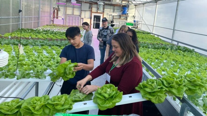 How CropKing Is Advancing CEA in the Classroom - CEAg World