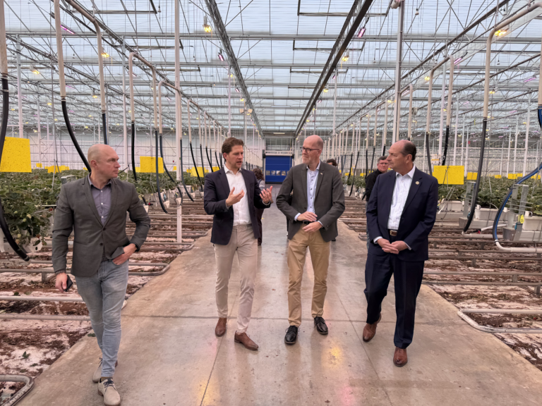 Now Open: Bosch Berries’ Greenhouse Facility in Kentucky - CEAg World