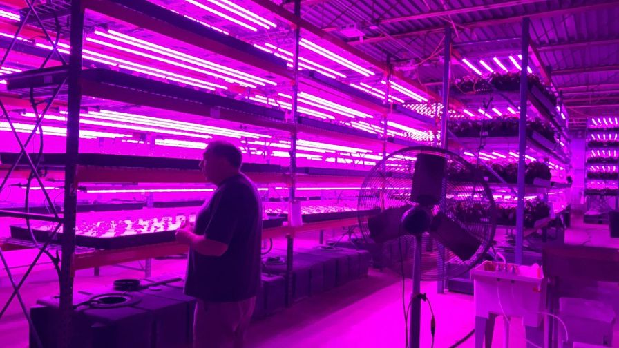 2024: Another Year of Reckoning and Resilience in Indoor Farming - CEAg ...