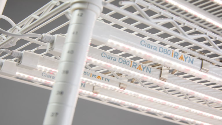RAYN Growing Systems Launches New Grow Lights for Tissue Culture - CEAg ...
