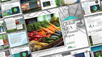 2024 Global CEA Census Released, Highlighting Industry Opportunities ...
