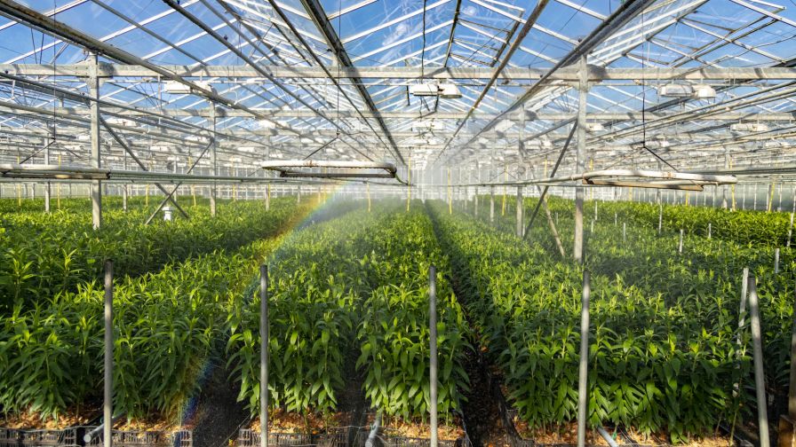 Improving Your Farm’s Irrigation System: 4 Emerging Technologies to ...