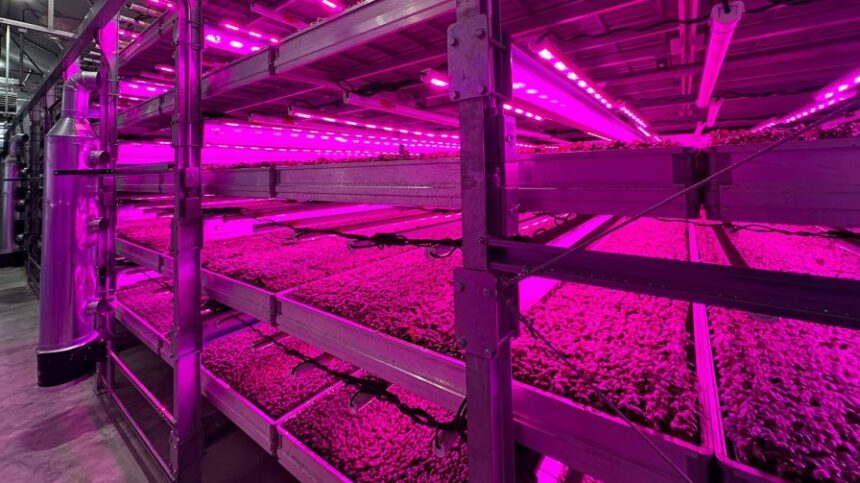 AdeptAg Brings FGM's Moving Gutter Systems to North America - CEAg World