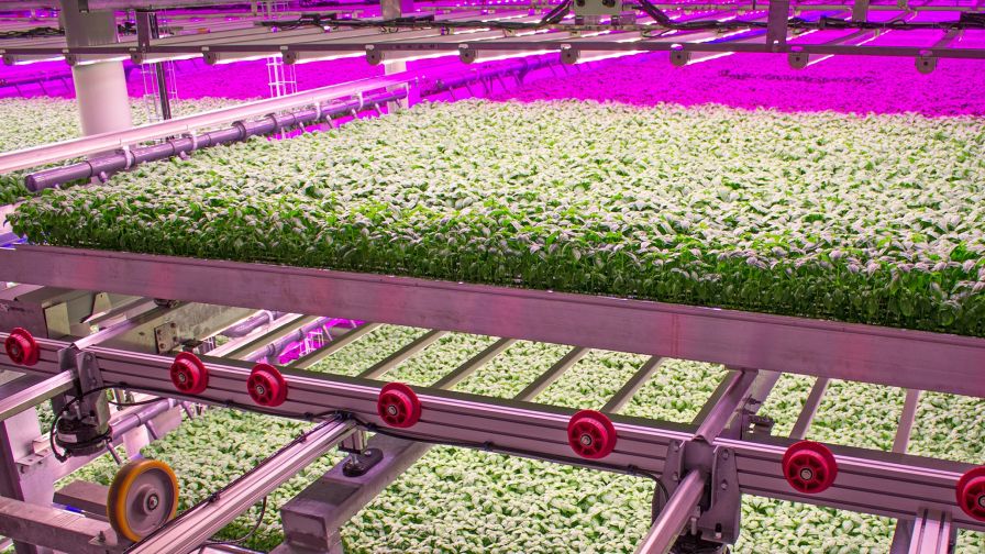 80 Acres Farms Expands Operations to New States - CEAg World