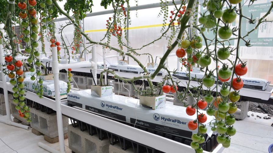 New Product: Engineered Media Solutions for Hydroponic Systems - CEAg World