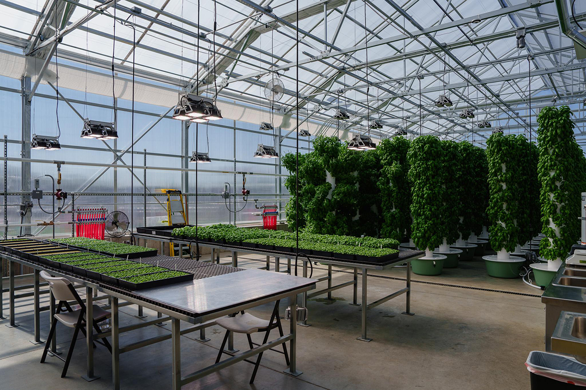 From Rooftops to Remote Regions: Why Tower Farms Work Virtually ...