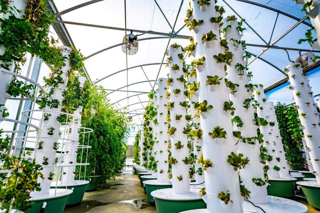 Stepping Up: 80 Acres Farms Builds its Case for Scalable Vertical ...