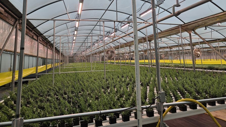 80 Acres Farms Expands Operations to New States - CEAg World