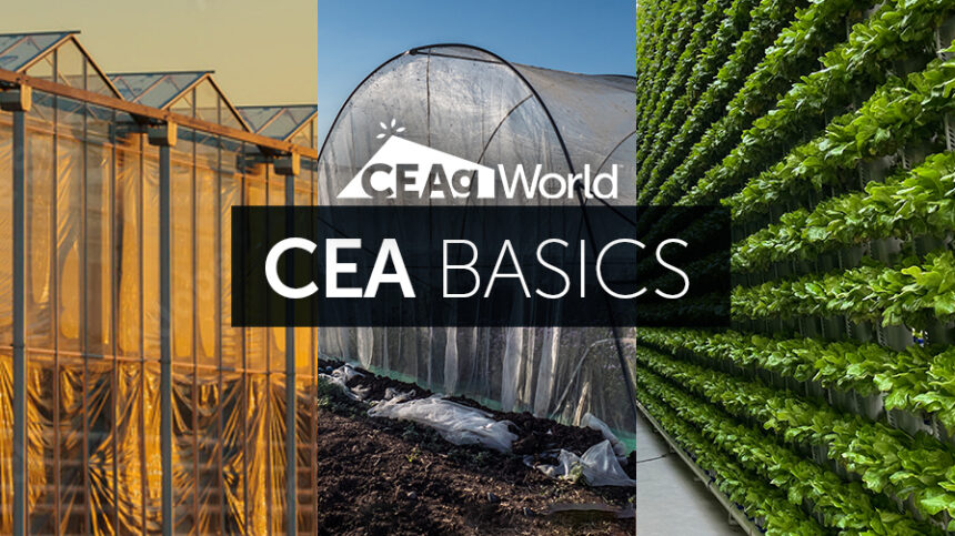CEA Basics: Labor Needs, Strategies, and Challenges - CEAg World