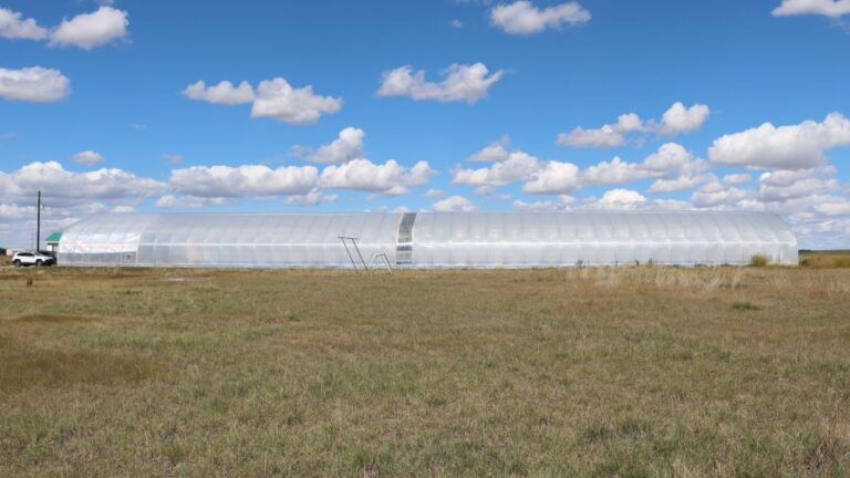 Rimaco Greens Unveils Sealed, Pressurized Greenhouse - CEAg World