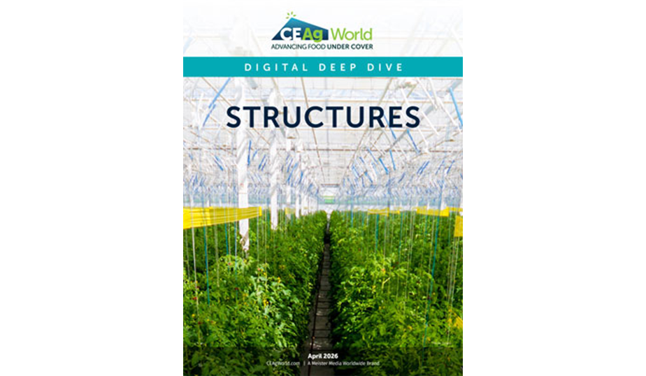New Digital Deep Dive Focuses on Structures in CEA